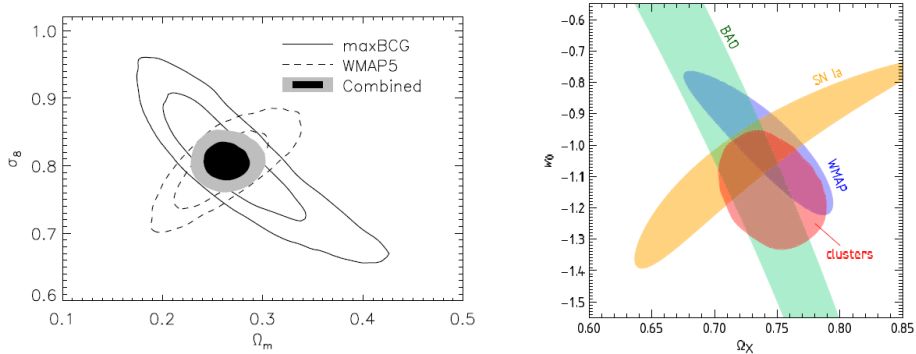 Cosmological Parameters from Observations of Galaxy Clusters - Steven W ...